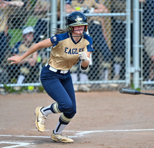 Bald Eagle Area edges Penns Valley in District 6 Class AA semifinals 1 ...